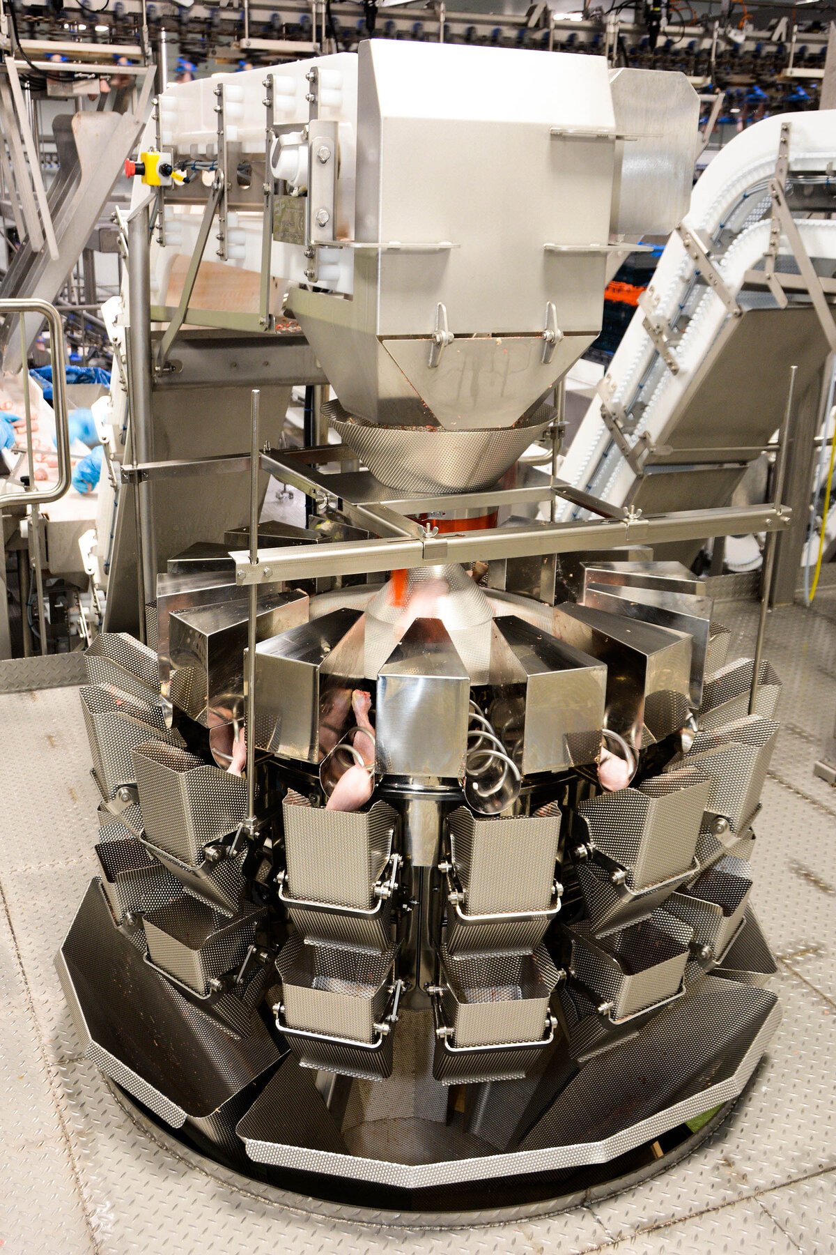 Screwfeeder Multihead Weigher CCW RV-SF Series : Multihead weigher ...